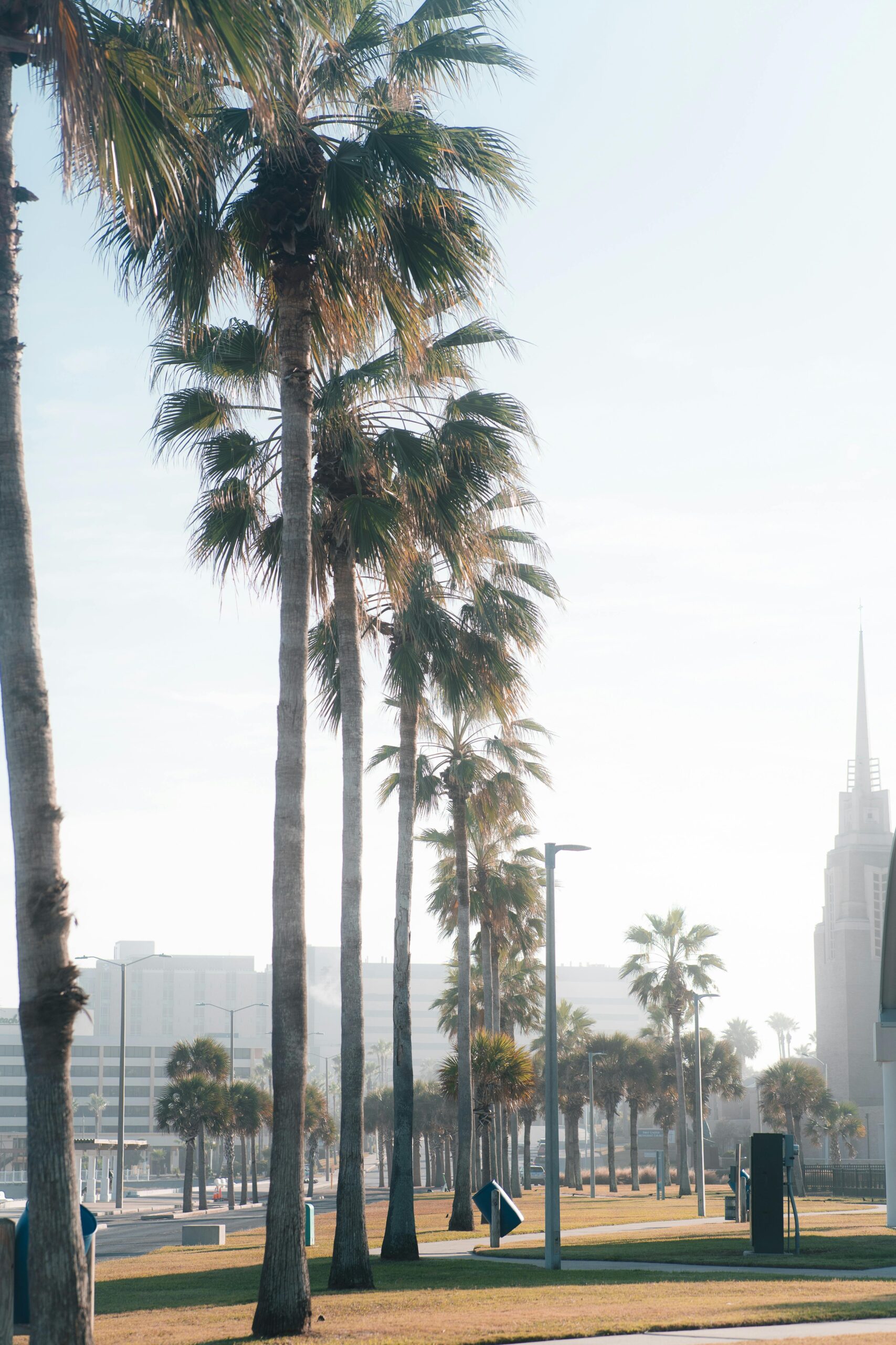 Corpus Christi, Texas - PBI International